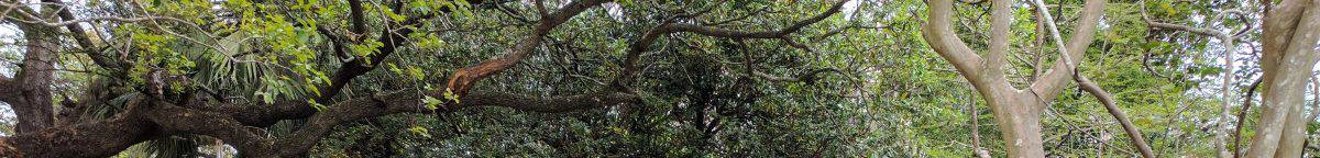 My Verizon 4G LTE Rural Internet Setup | b3n.org